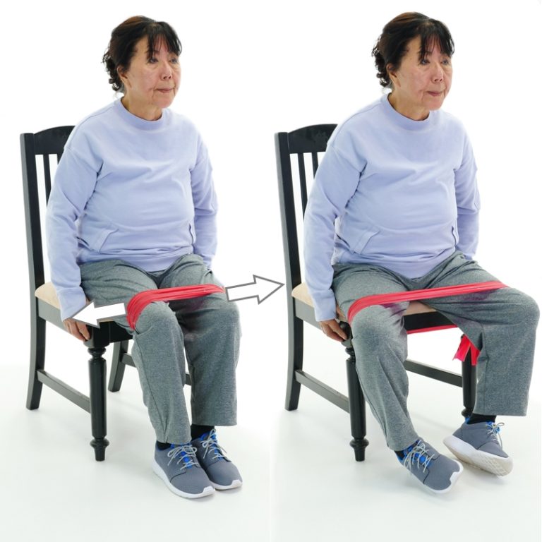 Stay Active and Independent with Seated Clamshells: A Gentle Exercise ...